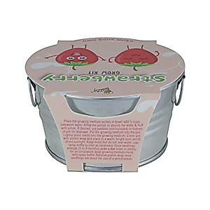 BUZZY Kids Mini Basin Seed Grow Kit | Strawberry | Kids Collection | Best Gardening Gifts, Favors, Weddings, Parties, Events, Modern, Trendy, Unique, and Fun | Growth Guaranteed