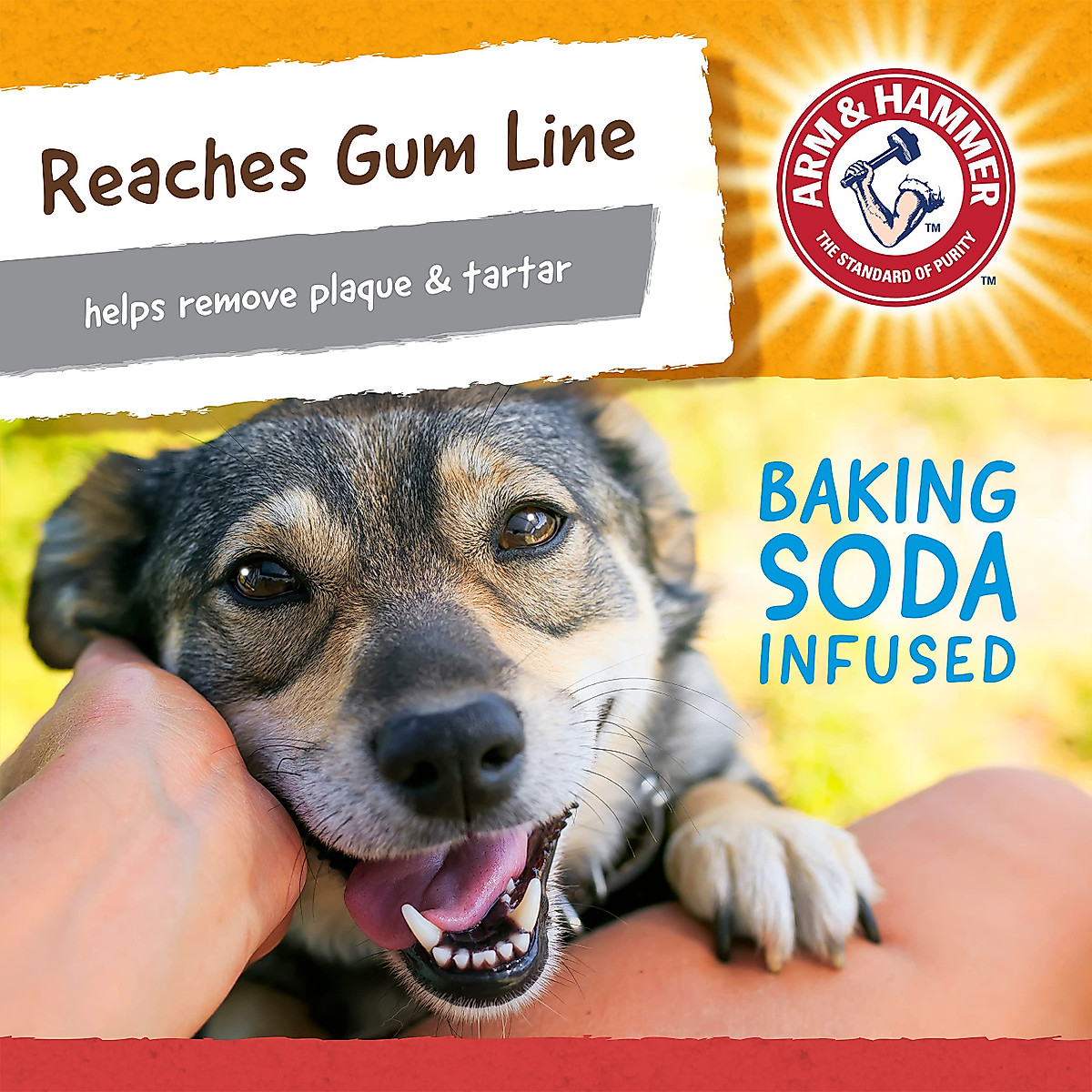 Arm & Hammer for Pets Nubbies Wishbone Dog Dental Toy| Best Dog Chew Toy for Moderate Chewers | Dog Dental Toy Helps Reduce Plaque & Tartar | Chicken Flavor Baking Soda (Pack of 2)