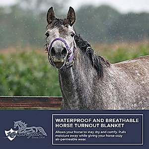 Kensington Signature Draft Turnout - Stable Blanket Day Wear, Waterproof and Tear-Free, 80G (Size 93, Navy)
