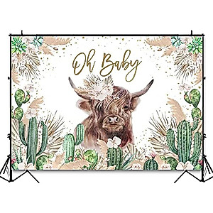 Avezano Oh Baby Backdrop Highland Cow Baby Shower Party Decorations for Boys Girls Mexican Cactus Pampas Grass Floral Baby Shower Photography Background Supplies (7x5ft)