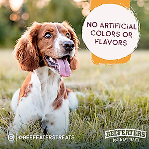 Beefeaters Dog Treats - 4in Bully Sticks 2oz | All-Natural, Highly Digestible | Dog Food Promotes Dental Health | No Additives or Preservatives | Training Treats for All Dog Sizes