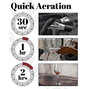 Wine Aerator, 6PCS Wine Pourer, Premium Wine Airarator, Wine Aerator Pourer Spout, Wine Aerorater and Wine Aireators Pourer for Wine Lovers