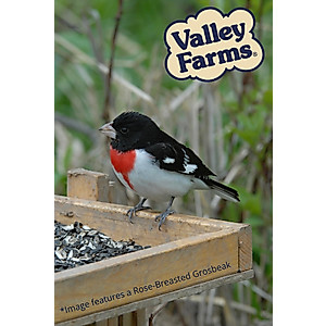 Valley Farms Cardinal Mix Wild Bird Food for Outside Feeders, Bird Seed with Black Oil Sunflower Seeds and Safflower Seeds, Attract a Variety of Wild Birds, 3 LBS 2-Pack (6 LBS Total)