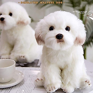14" Realistic Plush Maltese Dog, Stuffed Animal Puppy Dog Toys, Soft Plush Pillow Birthday for Kids and Adult, White