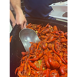 King Kooker Aluminum Crawfish Scoop, 1 Piece, Round Bottom, Great for Seafood, Ice, Coffee, Any Bulk Items