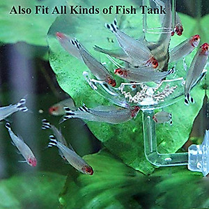 JZMYXA Shrimp Feeding Dish Shrimp Feed Dish, High Transparent Acrylic Material