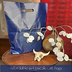 Rainbows & Lilies 100 Merchandise Bags 12x15 - Plastic Bags with Handles, Retail Shopping Bags for Small Business, Goodie Bags for Party Favors, T-Shirts, Gift Bags Bulk - Thick Reusable Bags (Blue)