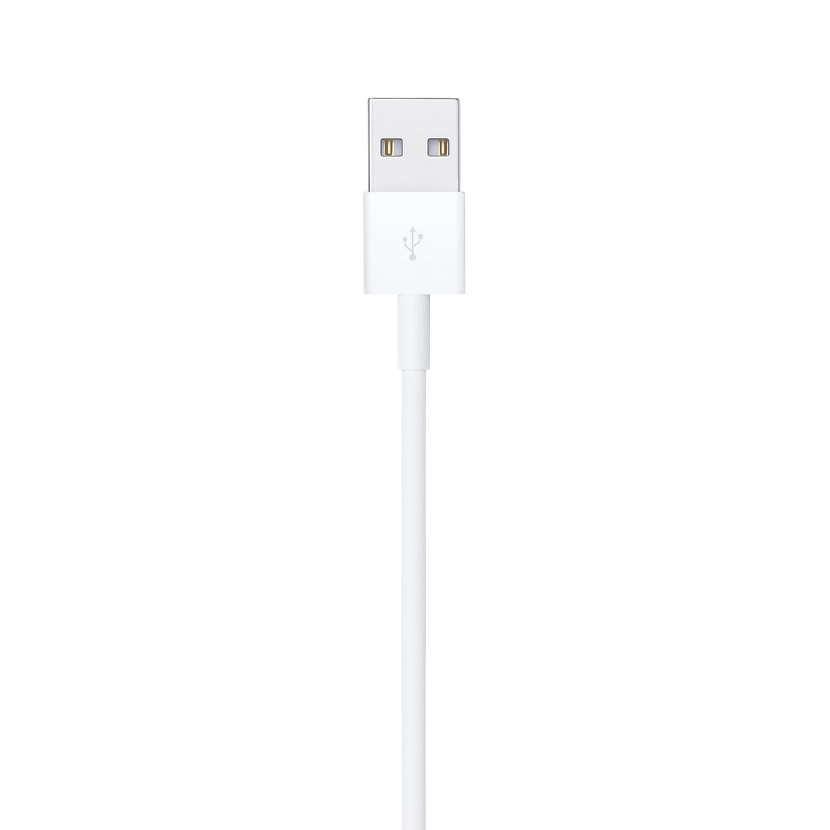 Apple Lightning to USB Cable (0.5 m)