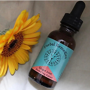 Canine Ginger Joint Extract - Dog Herbal Supplement