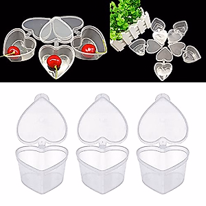 AKOAK 45ml Heart Shape Plastic Storage Box with Cover Transparent Container Organizer Jewelry Earring Spice Storage Box Leakproof Container