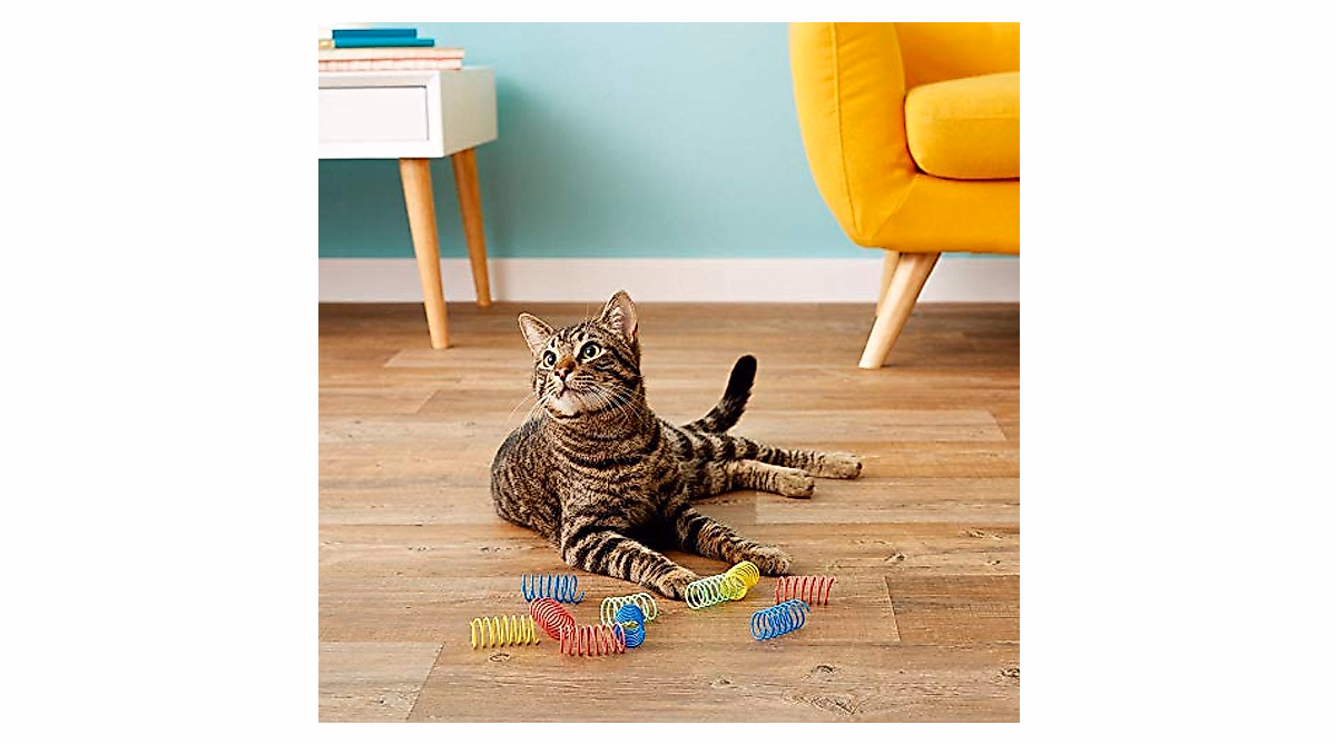 Colorful Cat Toy - Bouncy Springs for Active Felines | SPOT Ethical
