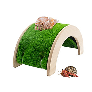 Hermit Crabs Climbing Bridge with Moss, Hermit Crab Hideout Hermit Crab Climbing Toy Reptile Climbing Decor Aquarium Tank Accessory for Small or Medium Hermit Crab Habitat