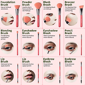 Docolor Makeup Brushes 10Pcs Makeup Brush Set Premium Synthetic Powder Foundation Contour Blush Concealer Eye Shadow Blending Liner Make Up Brush Kit - Neon Peach