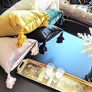 maia Homes Extra Skinny Velvet Lumbar Pillow with Tassels for Living Room, Bedroom, Sofa, Couch and Travel (Long Pillow Cover Only, Pink)