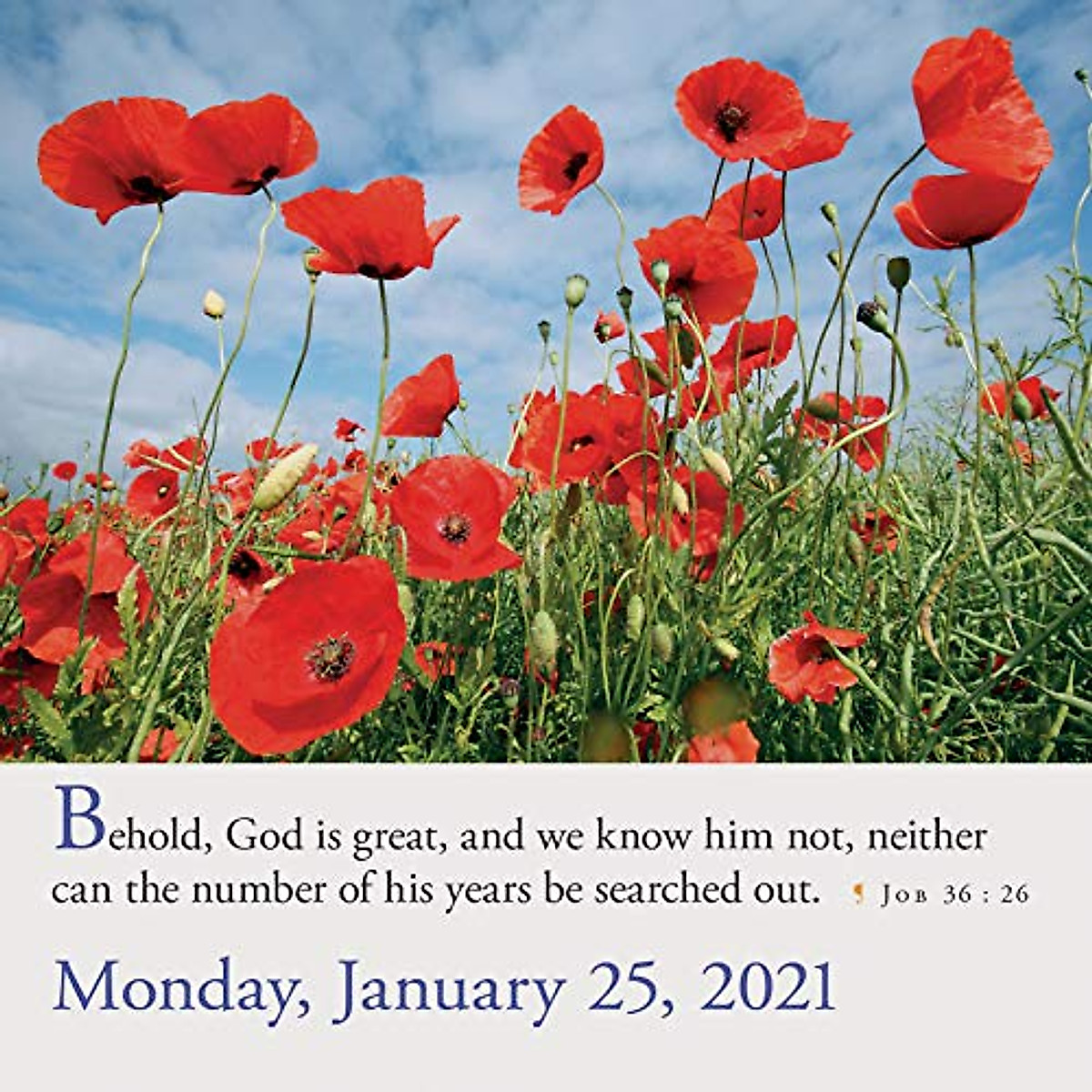 365 Bible Verses-A-Year Page-A-Day Calendar 2021