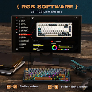 RK ROYAL KLUDGE H81 Wireless Gaming Keyboard, Knob Control Triple Mode BT5.1/2.4Ghz/USB-C 75% Mechanical Keyboard Gasket Mount with RGB Backlit 3750mAH Battery, Hot Swappable Pale Green Switches