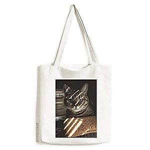 Animal Cat Ray Photograph Shoot Tote Canvas Bag Shopping Satchel Casual Handbag