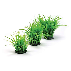 biOrb Grass Ring, Medium