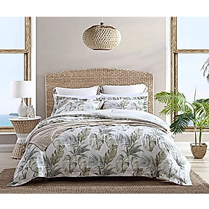 Tommy Bahama - Queen Comforter Set, Reversible Cotton Bedding with Matching Shams, Medium Weight Home Decor for All Seasons (Waimea Bay Green, Queen)