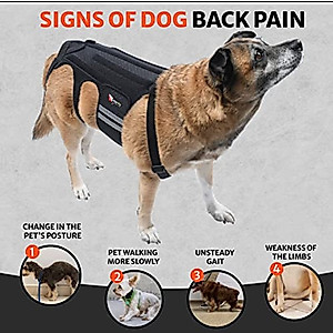 Dog Back Brace for Dogs Arthritis, Dogs Back Disease Prevention, Pet Back Bracer, Surgical Recovery and Rehabilitation Back Protector Helps Pain Relief (Small)