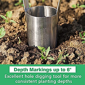 Berry&Bird Garden Bulb Planter with 6 inches Depth Mark, Garden Bulb Transplanter Tool with Woode Handle, Stainless Steel Soil Release Tool for Transplanting Digging Planting Flowers