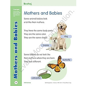 Evan-Moor Skill Sharpeners Science Workbook, Grade 1, Physical, Life, and Earth Science, Songs, Activities, Space, Animals and Eggs, Plants, Habitats, Recycling, Weather, Technology, Homeschool