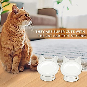 Cat Bowls, Ceramic Cat Food and Water Bowl Set Anti Vomiting, Tilted Elevated Bowls for Cat, Small Dogs, Protect Pet's Spine, Dishwasher and Microwave Safe,2 Pack