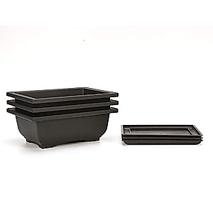 C CRYSTAL LEMON 3 Pack, Bonsai Pots, Bonsai Tree Pots with Trays - Built in Mesh, Six Inch Large Planters Durable Shatter Proof Poly-Resin