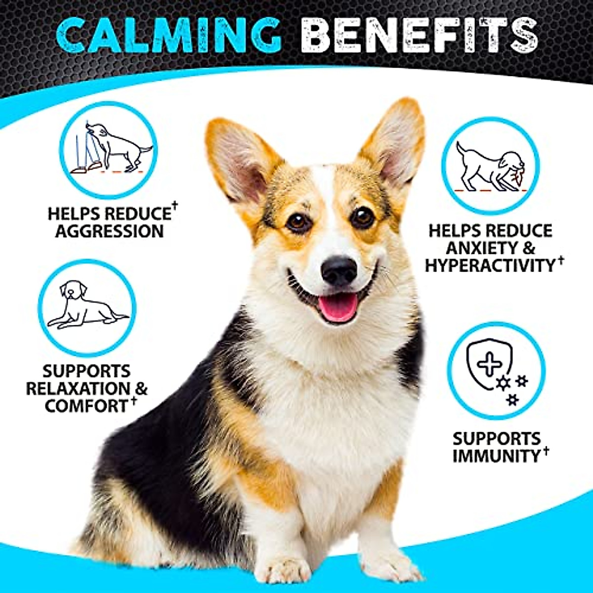 Hemp Calming Chews for Dogs with Anxiety and Stress - Dog Calming Treats - Storms Barking Separation - Valerian Root - Melatonin - Hemp Oil - Dog Anxiety Relief - Calming Treats for Dogs - Made in USA
