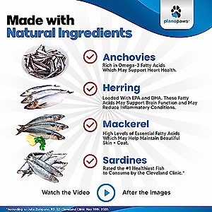 Omega 3 Fish Oil for Dogs - Better Than Salmon Oil for Dogs - Dog Fish Oil Supplement - Reduce Shedding & Itching - Supports Joints, Brain, Heart Health- Dog Skin and Coat Supplement - Fish Oil Liquid