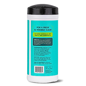 Aunt Fannie's Natural Cleaning Vinegar Wipes, Multipurpose Surface Cleaner, Eucalyptus Scent, 35 Count (Pack of 1), Packaging May Vary