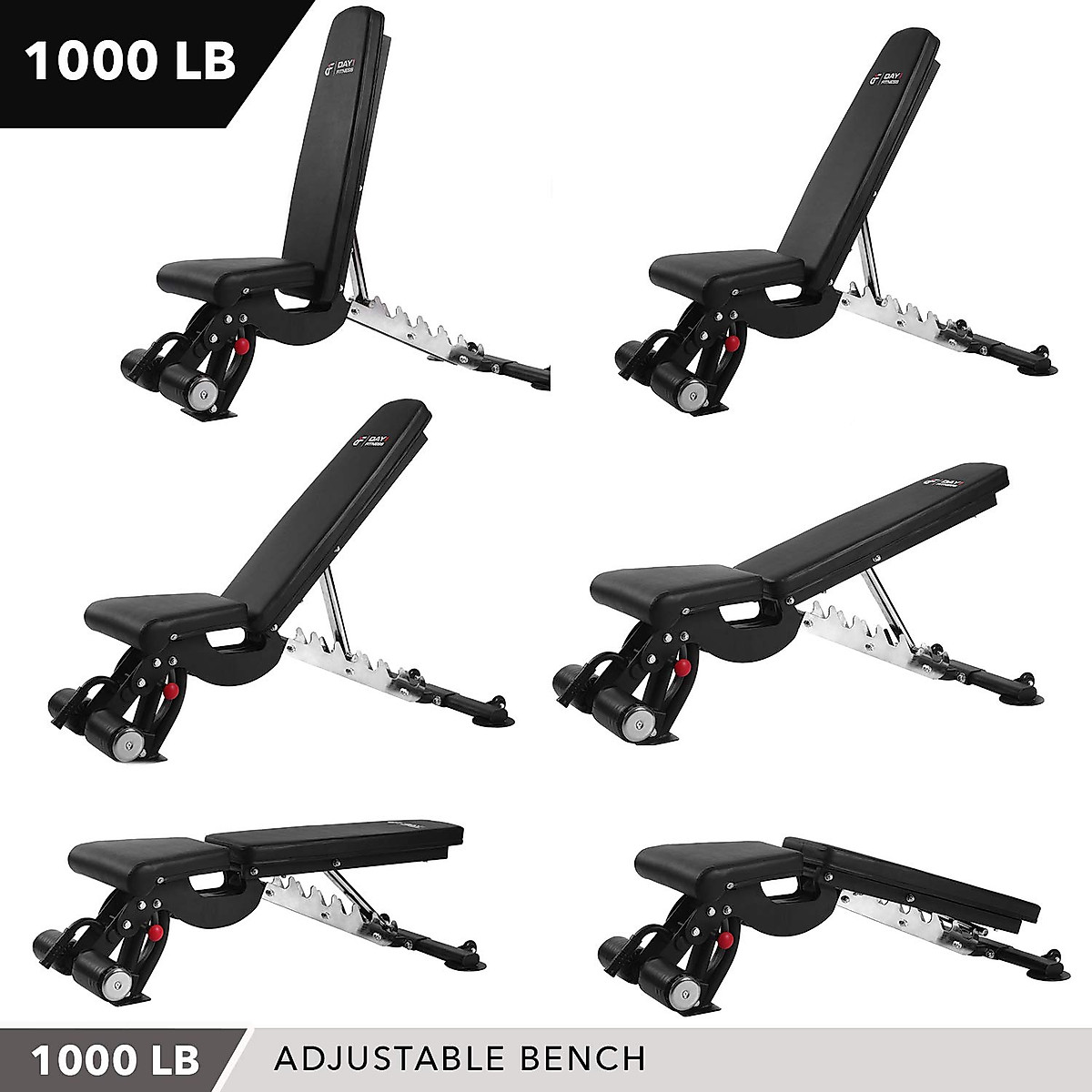 DAY1 FITNESS Adjustable Weight Bench, 1000 lb by D1F for Strength Training -Incline, Decline, Flat Workout Benches for Lifting, Flies, Chest Press, Dips -Utility Equipment for Personal, Commercial Gym