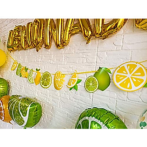 Lemonade Party Decoration Lemonade Foil Latex Balloons Banner,Lemonade Garland Decoration for Summer Lemonade Party