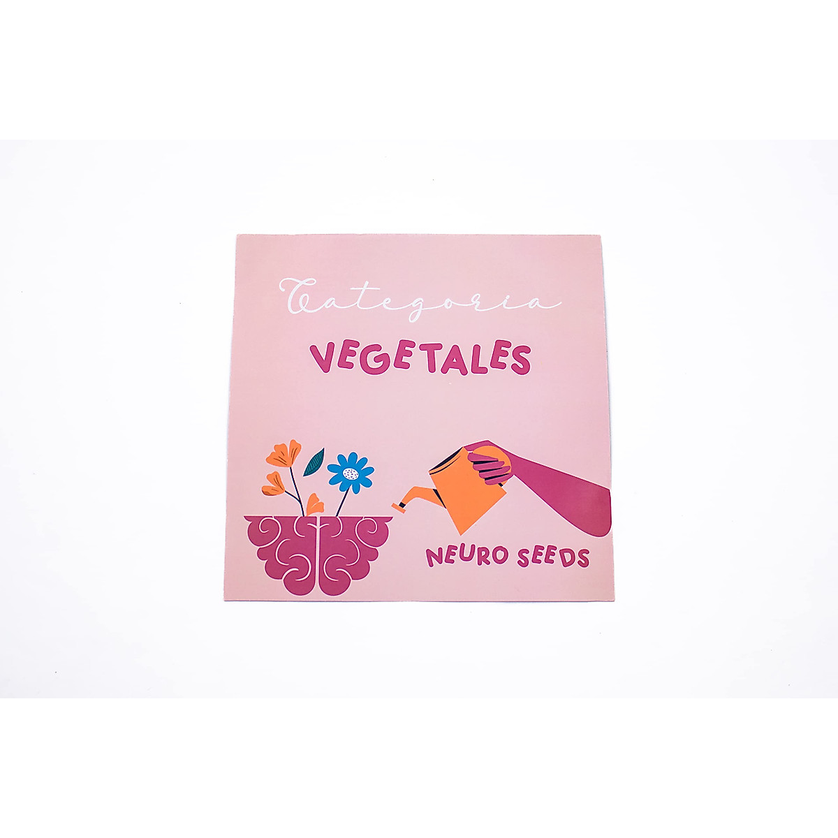 Flash Cards (Vegetales y Instrumentos Musicales de Cuerda)