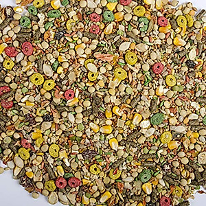 Wild Harvest Hamster And Gerbil Advanced Nutrition Diet, 4-Pound, Multicolor, One Size (E1950W), 4 pounds