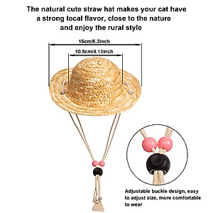 6 Pieces Pet Dog Cat Costume, Pet Sunglasses and Summer Pet Straw Hat with Faux Gold Chain Collar, Classic Funny Pet Accessories for Pet Cat Puppy Small Medium Dog Birthday Cosplay Party (Cute Style)