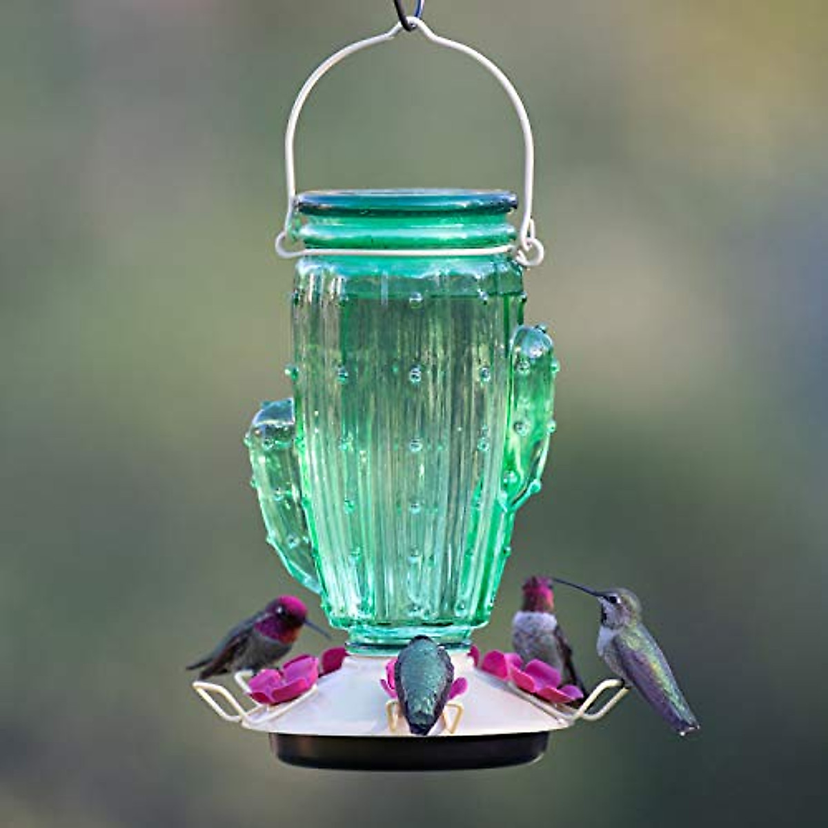 Perky-Pet 9111-1SR Cactus Top Fill Glass Hummingbird Feeder with Built-in Bee Guards & Removable Perches - 32 oz Outdoor Garden Décor Hummingbird Feeder