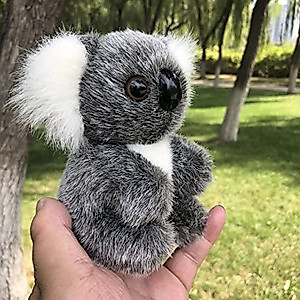 Gollicce 5" Plush Koala Bear Simulation Stuffed Animal Toy Doll