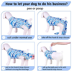 PetWarm Dog Recovery Suit After Surgery,Dog Surgery Suit,Cone of Shame Alternatives,Anti-Licking Pet Surgical Recovery Snugly Suit Dog Onesie for Spay Neuter,Marine Animal Patterns,White Blue,2XL