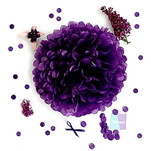 Purple Gold Baby Shower Decorations Qian's Party Purple and Gold Princess Birthday Party Decorations Purple Princess Baby Shower Confetti Purple & Gold Party Decor