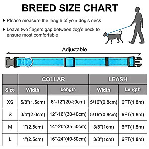 Dynmeow Reflective Dog Collar and Leash Set, Adjustable Pet Collar with Soft Neoprene Padded for Small Medium Large Dogs, Climbing Rope, Blue, S