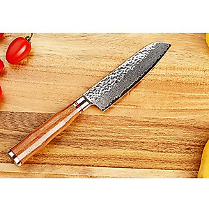 Sunlong Santoku 5 inch Chef's Knives Japanese Hammered Damascus Natural Bloodwood Handle