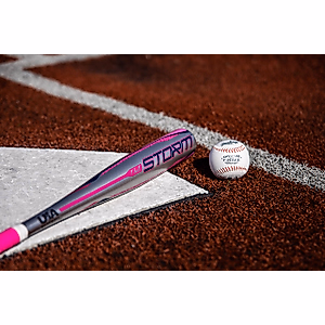 Rawlings | STORM T-Ball Bat | USA Softball & Baseball | -12 Drop | 24" | Silver/Pink