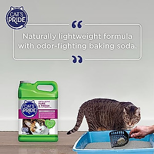 Cat's Pride Premium Lightweight Clumping Litter: Pure & Fresh - Up to 10 Days of Powerful Odor Control - Multi-Cat, Scented, 10 Pounds