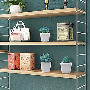 CQURE Succulents Plants Artificial, Set of 4 Mini Artificial Succulents Desk Plant Faux Succulents in Pots Fake Succulents Plant Decor Plastic