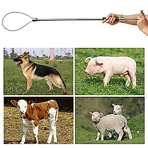 PAULOZYN Stainless Steel Hog Pig Catcher Pole ​Holder Control Tool Heavy Duty for Dog Pig Animals Swine Livestock