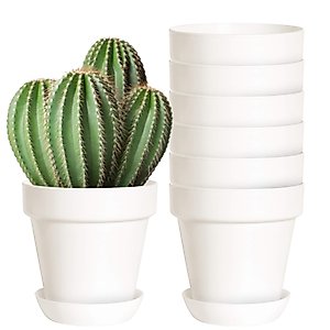 Youngever 8 Pack 5.5 Inch Plastic Planters Indoor Flower Plant Pots, Classic Decorative Gardening Pot with Drainage Holes (White with Saucers)