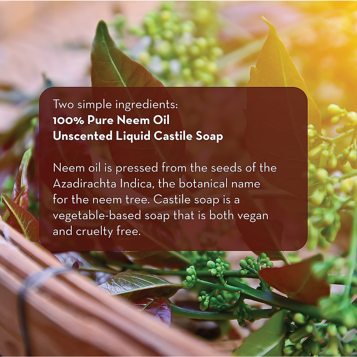 Refill Kit for Emily's Naturals Neem Oil Plant Spray - Makes 48oz - Spray Bottle Not Included