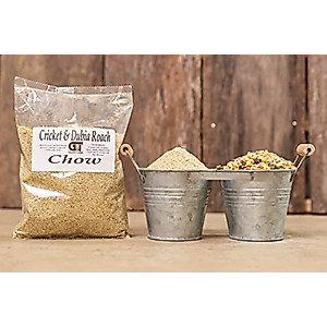 G&T Country Living Dubia Roach Colony Starter Kit with a Pound of Feeder Insect Chow for Earthworms, Hissing Cockroaches, Breeding Insects, Gut Loading, for Reptiles