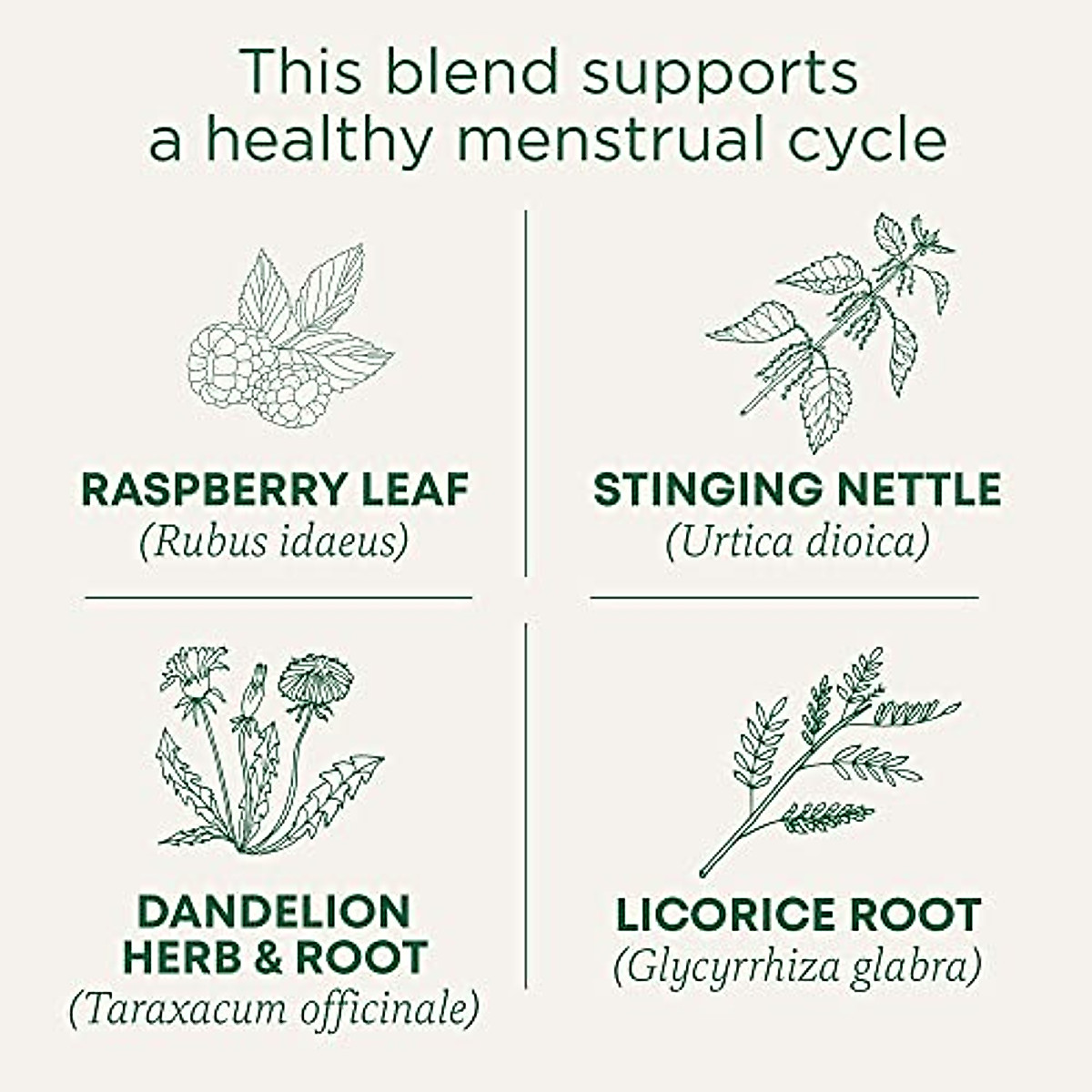 Traditional Medicinals Organic Women's Tea Menstrual Cycle Support, 16 Count (Pack of 6)
